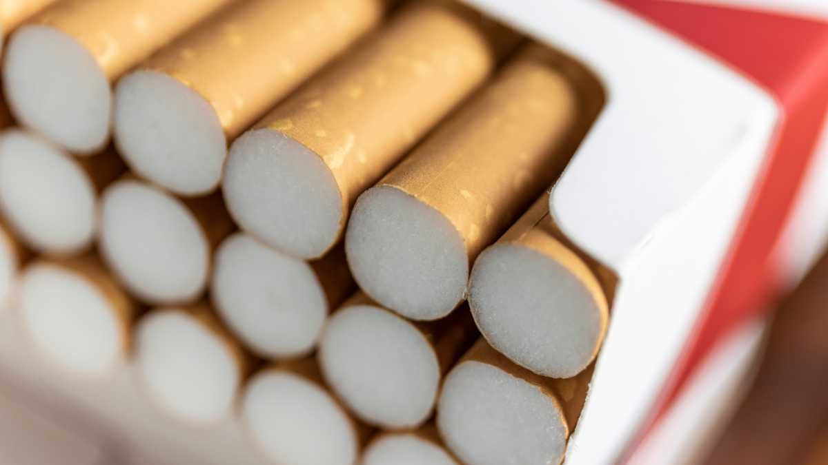 Precios Nuevos Senderos - Infokioscos®